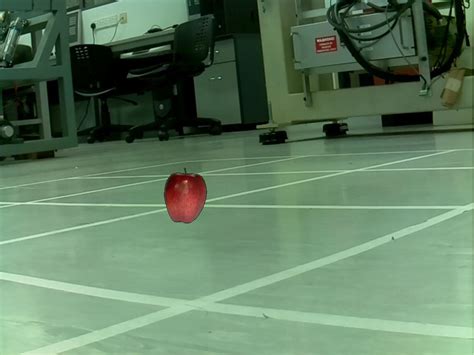 Fruits Object Detection Dataset And Pre Trained Model By Fruits