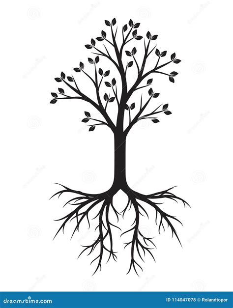 Black Tree With Roots Vector Illustration Stock Vector Illustration Of Natural Graphic