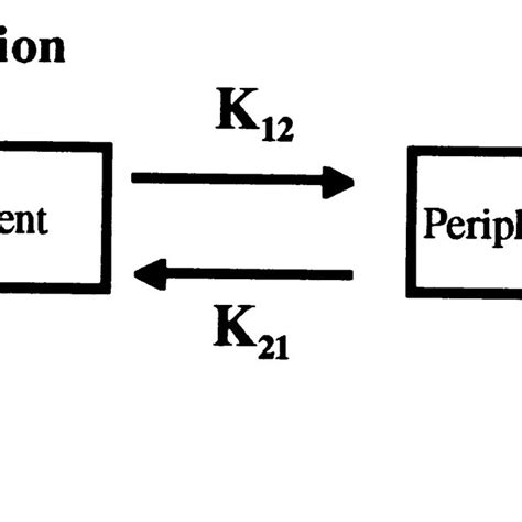 Schematic Representation Of A Two Compartment Model Consisting Of A Download Scientific Diagram