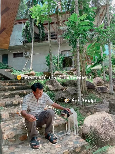 เขาพับผ้ารีสอร์ท จ ตรัง แกลเลอรีที่โพสต์โดย Awika Lemon8