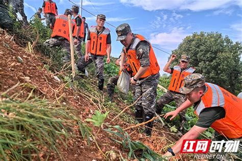 加固堤坝抵御洪水 武警岳阳支队官兵鏖战汨罗江岳阳湖南频道红网