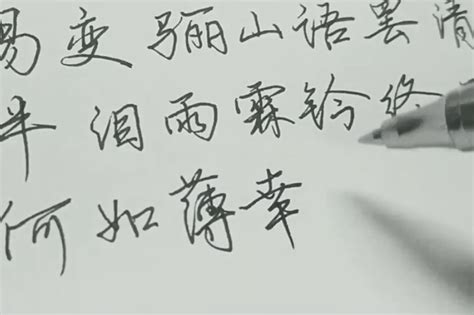 硬笔行书《人生若只如初见》