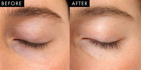 What Is Eyebrow Tinting Before And After Eyebrowshaper