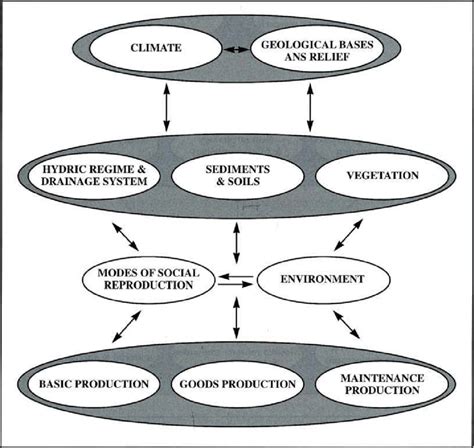 Fig L Theoretical Structure Of The Social Spaces Download Scientific Diagram