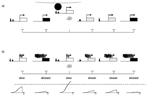 Two Stochastic Models For Mutually Exclusive Or Transcription