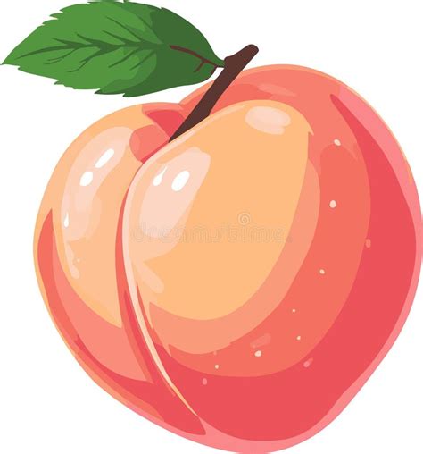 Peach Fruit Clip Art Peach Clipart Vectors Download Free