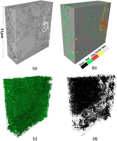 Three‐dimensional Fib‐sem Image And Segmentation Results A Filtered