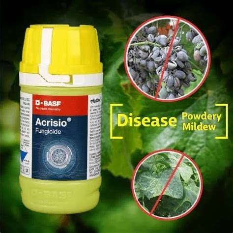 Liquid Basf Fungicides 300gm At ₹ 500litre In Hyderabad Id