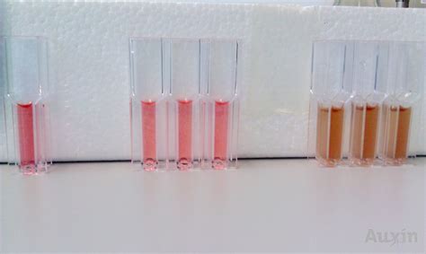 Team Imperial College London Project Auxin Testing Igem Org