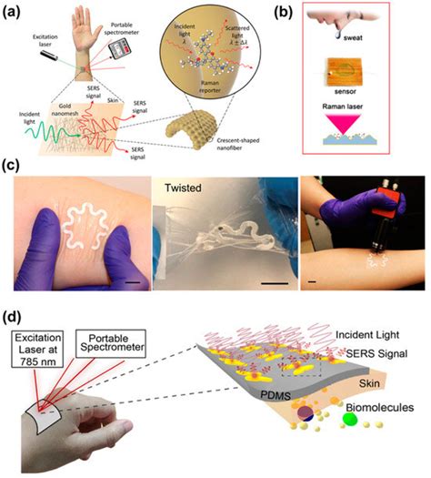 Nanomaterials Free Full Text Recent Development And Applications Of Stretchable Sers Substrates