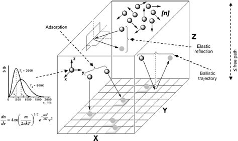 General Idea Of The Computer Simulation Algorithm And Typical