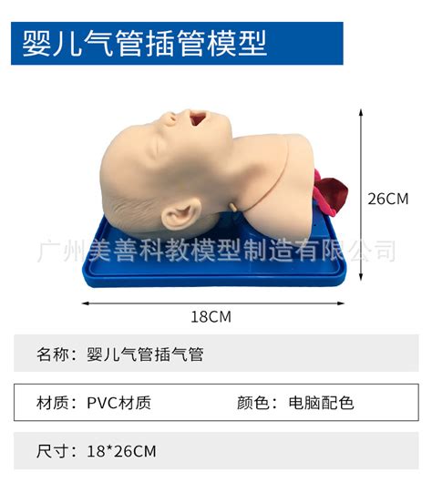 人体气管插管训练模型成人新生儿婴儿童气管插管口鼻腔气道急救 阿里巴巴