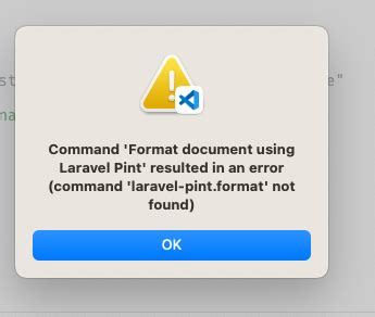 Command Laravel Pint Format Not Found Issue 36 Open Southeners