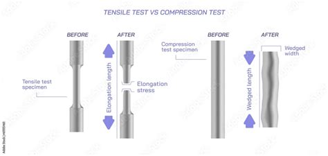 Tensile Vs Compression Test Vector Illustration Elongation Test Vs