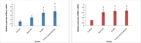 Real Time Pcr Analysis Of Osteogenic Specific Gene Expression Runx2