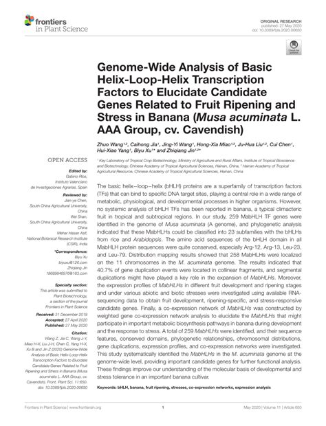 Pdf Genome Wide Analysis Of Basic Helix Loop Helix Transcription Factors To Elucidate