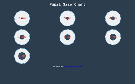 Standard Pupil Size At June Hughes Blog