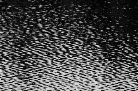 Quem Tem Medo De Virginia Woolf