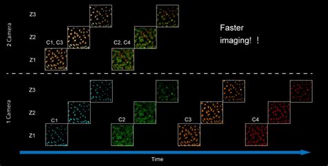 Cellvoyager High Content Analysis System Cq3000 Yokogawa America