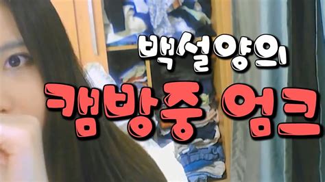 [백설양tv]캠방중 엄크 Youtube