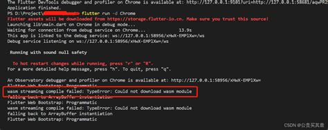 Wasm Streaming Compile Failed Typeerror Could Not Download Wasm Module Flutter Web Csdn博客