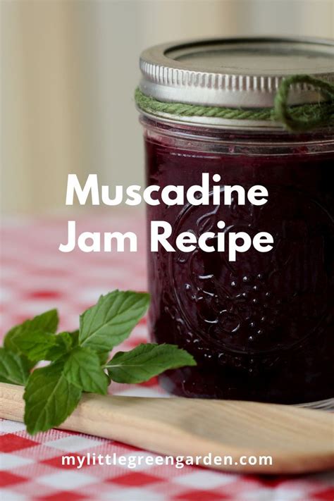 Muscadine Jam Recipe Artofit