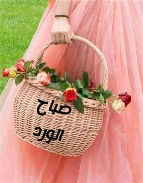 Mohammed Khader On Linkedin Good Morning