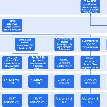 Data Flow Diagram Shows The Detailed Overview Of The Wet Lab Download Scientific Diagram