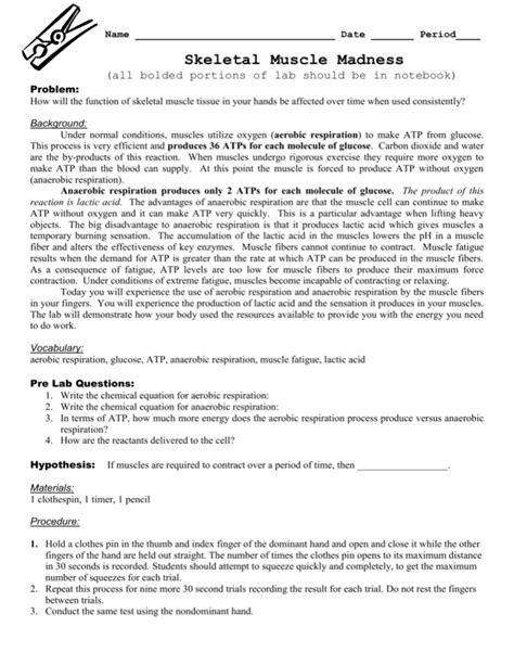 Skeletal Muscle Fatigue Lab Aerobic Vs Anaerobic Respiration