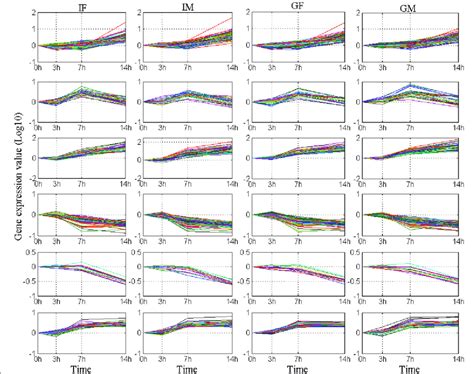 Example Of Similar Patterns In Mouse Data Set Of Genes With Conserved