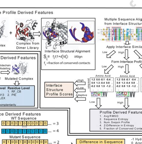 Multiscale Approach To Predicting Protein Binding Affinity Using