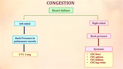 Ischemia And Infarction Pdf