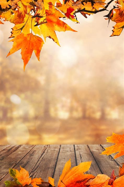 무료 리추에 가을 가을 배경 이미지 가을 가을 단풍 포스터 리추에 가을 가을 노란 잎 낙엽 포스터 나뭇잎 신선한 문학 메이플 리프 멀리 배경 사진 배경 Png 및 벡터