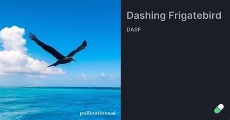 Dashing Frigatebird Dasf Pump