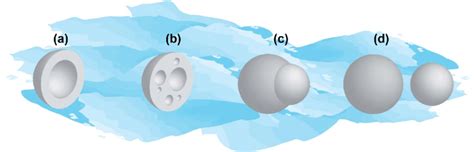 Scheme 2 Possible Morphologies And Outcomes Of The Microencapsulation