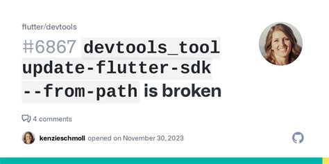 `devtools tool update flutter sdk from path` is broken · issue 6867