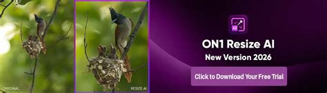 Manual Focus Vs AutoFocus Advantages Disadvantages Some