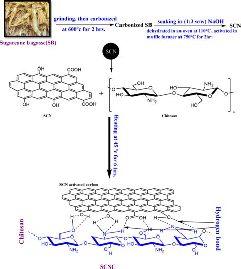 壳聚糖浸渍甘蔗渣生物炭，用于去除废水中的阴离子染料 Scientific Reports X Mol