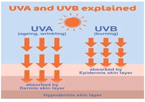 Uva Uvb Rays Explained Made In A Pinch