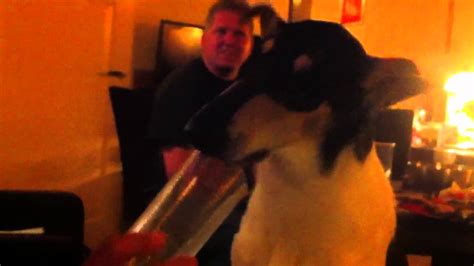 Deepthroat Dog Youtube