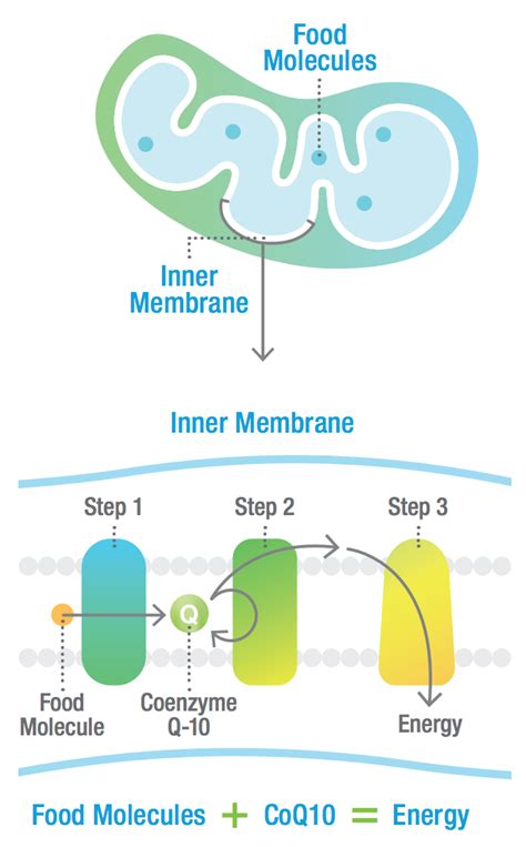 Gnld Neolife Coq Complex Non Gmo Natural Food Sourced