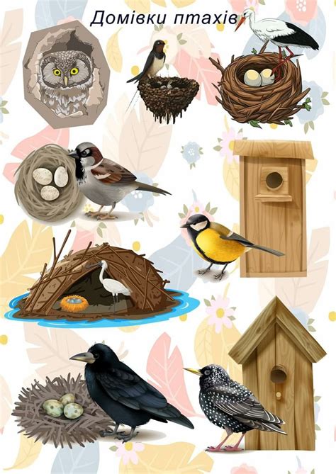 Bird Nest Identification Chart Spot And Identify Bird Nests Easily Bird Nest Backyard Birds