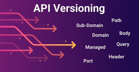 Api Versioning