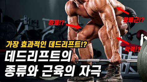 근성장 고속 촉진용 데드리프트 4가지 Youtube