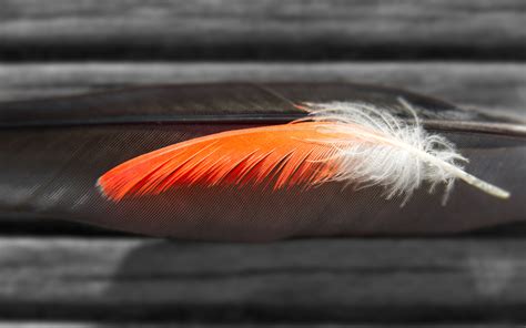 ActiveMQ Integration With Mulesoft