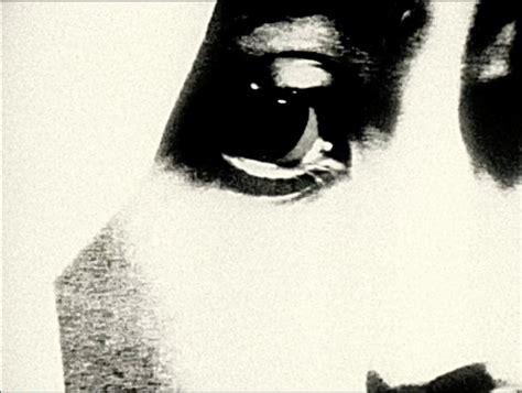 Rajee Samarasinghe Media City Film Festival