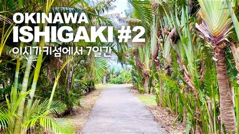 7일간의 오키나와 이시가키섬 여행 2 Youtube