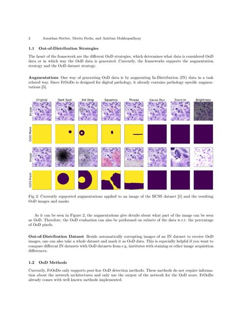Froodo Framework For Out Of Distribution Detection Deepai