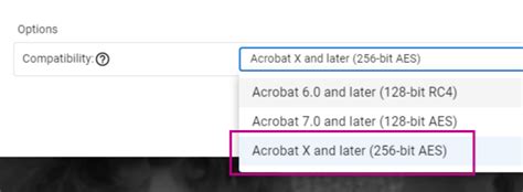 How To Specify Encryption For A PDF Visual Paradigm News
