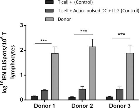 Elispot Assay Demonstrating The Frequency And The Specificity Of Download Scientific Diagram